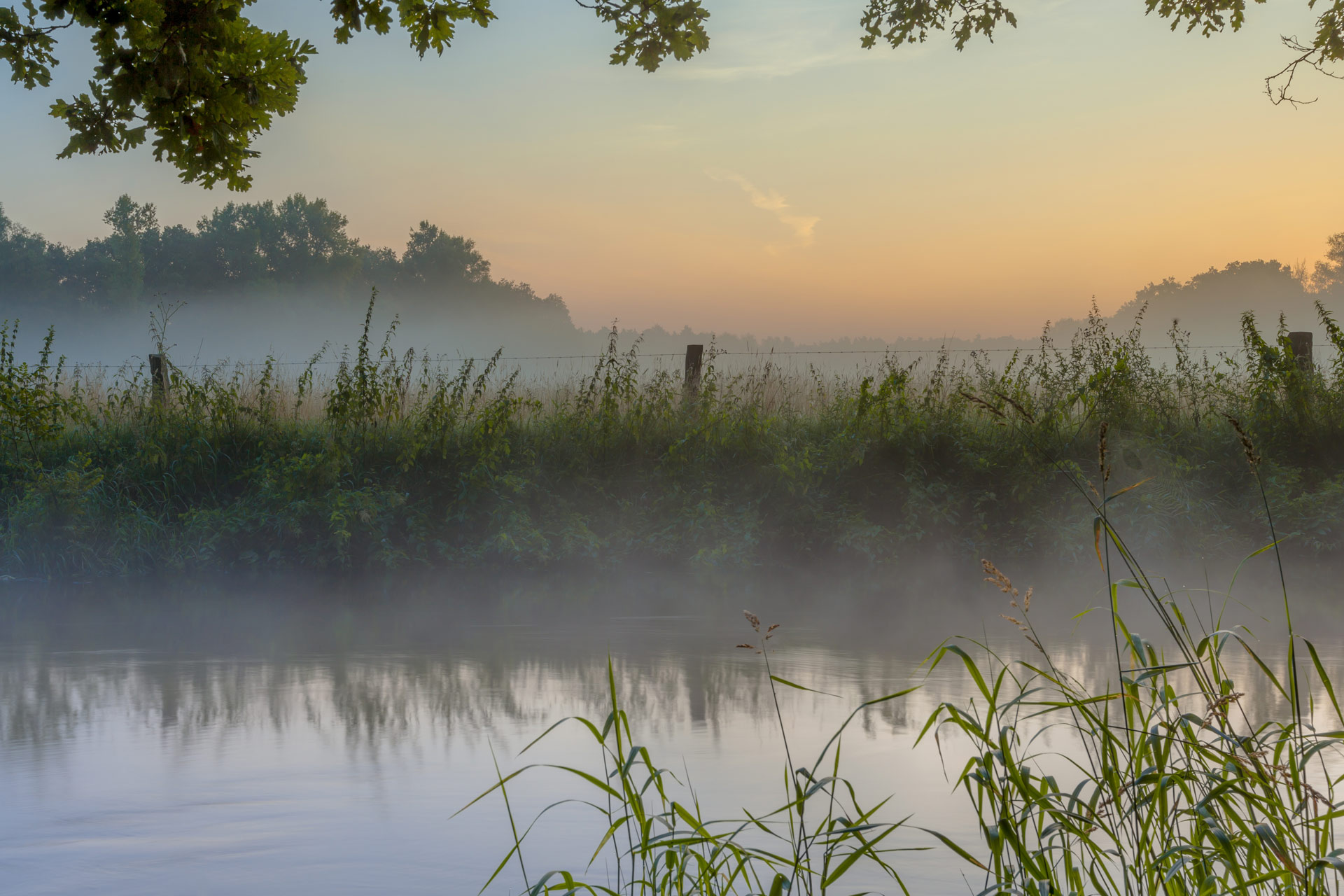 Alle referenties | MOOOZ Green Solutions B.V.