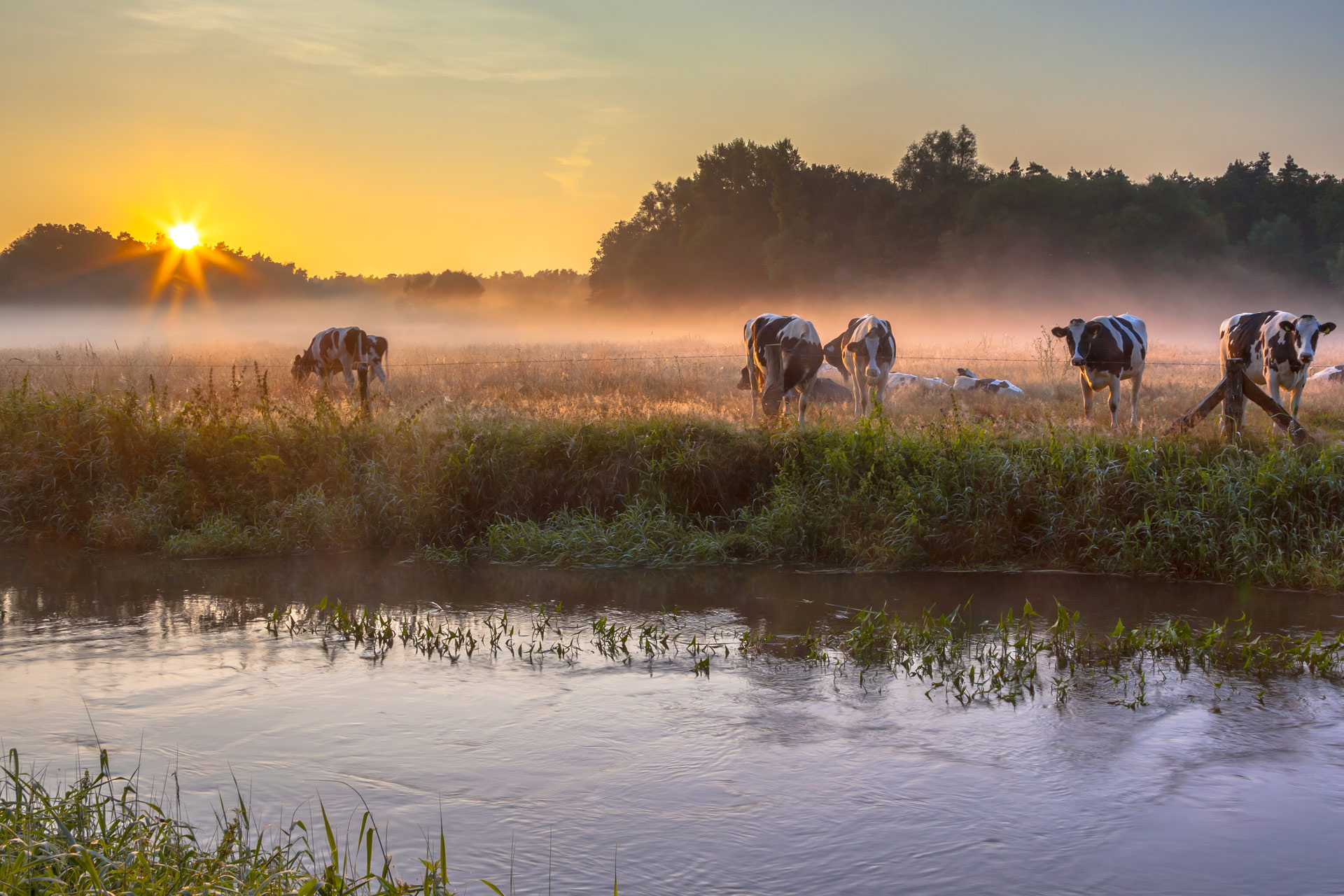 Over ons | MOOOZ Green Solutions B.V.